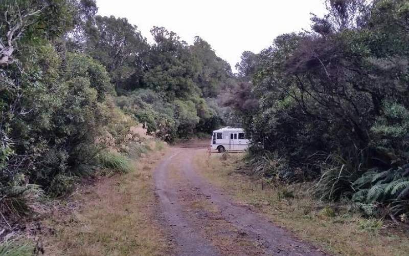 Taurewa Loop Track Carpark | Freedom/Basic Camp | New Zealand